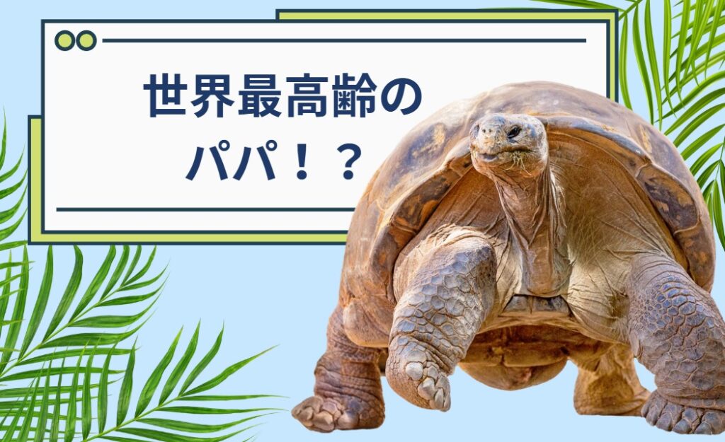 出生前DNA鑑定の検査方法や精度について | DNA鑑定・遺伝子検査のseeDNA