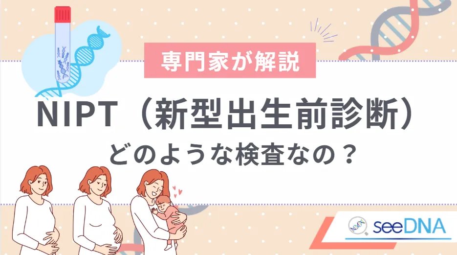 NIPT（新型出生前診断）とはどのような検査なの？ | DNA鑑定・遺伝子検査のseeDNA